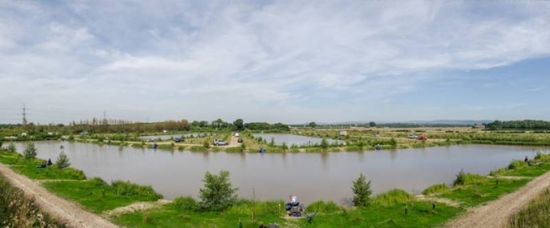 Sycamore - The Oaks Lakes Sessay